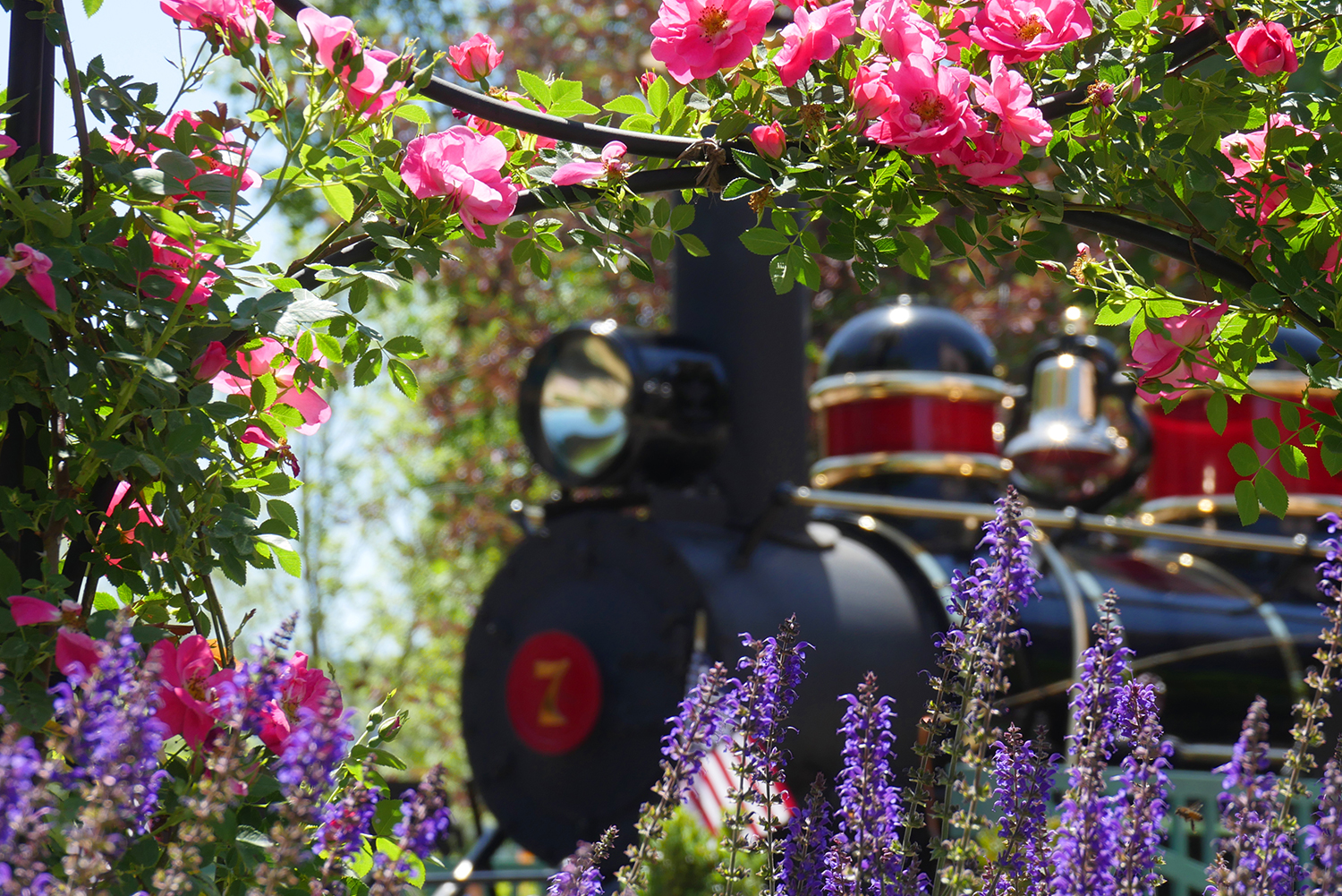 Silverwood: Steam Engine